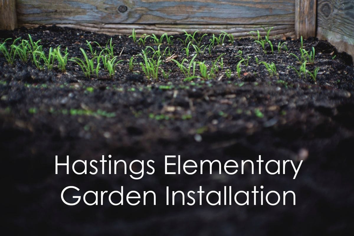 New Gardens Completed | Hastings Elementary PAC