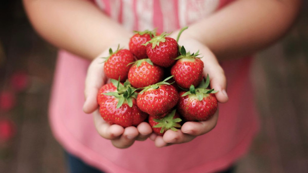 food-security-hastings-elementary-pac